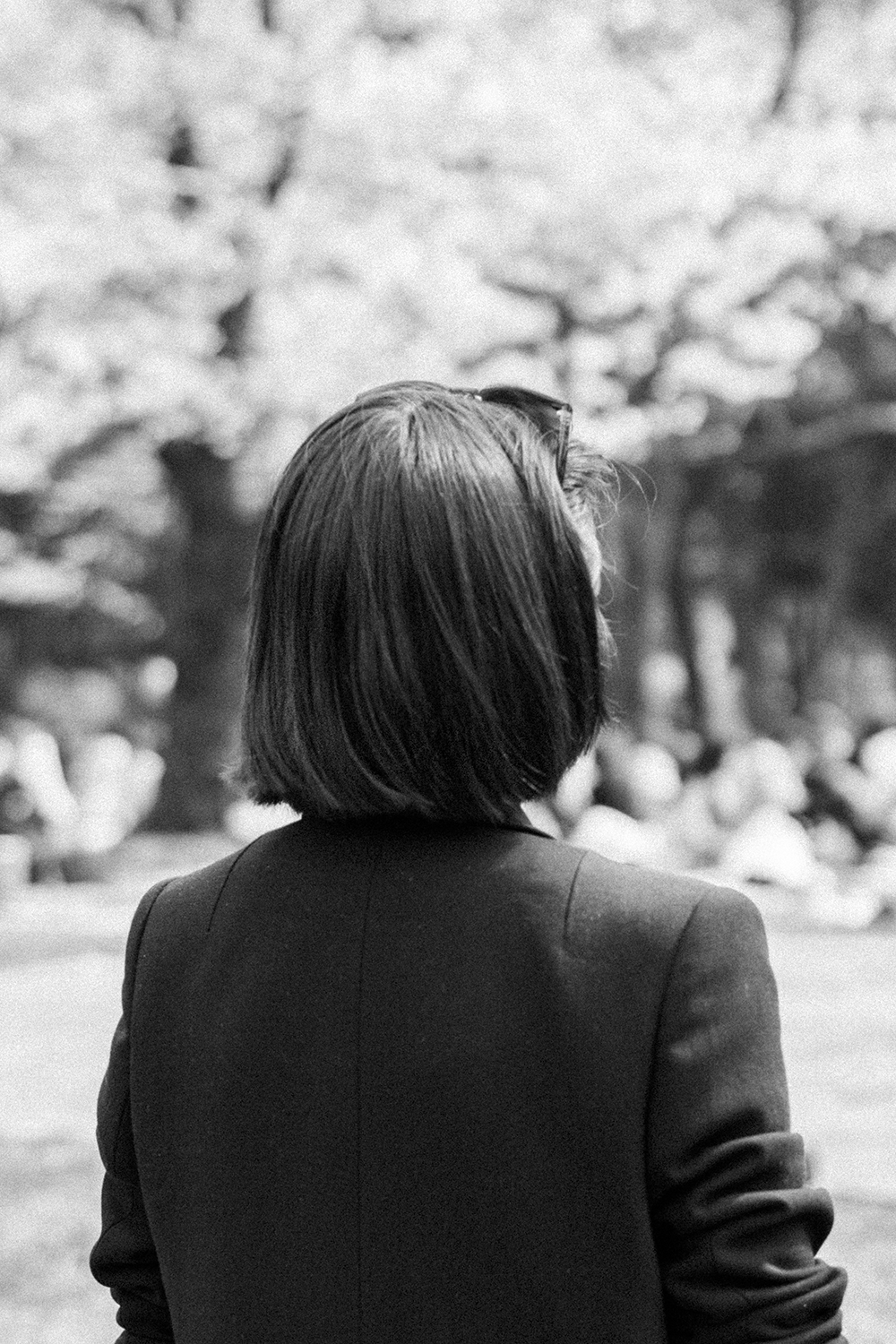 hanami-yoyogi-park_sakura_cherry-blossoms_tokyo_travel-guide_09 | i ...