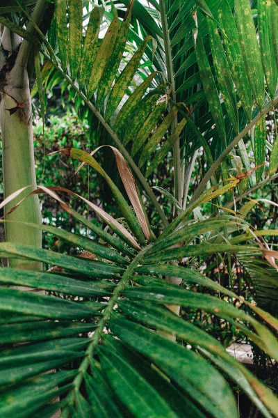 The Perfect Black (Swim) Suit mit Rosa Faia in Havana, Cuba | i Heart ...