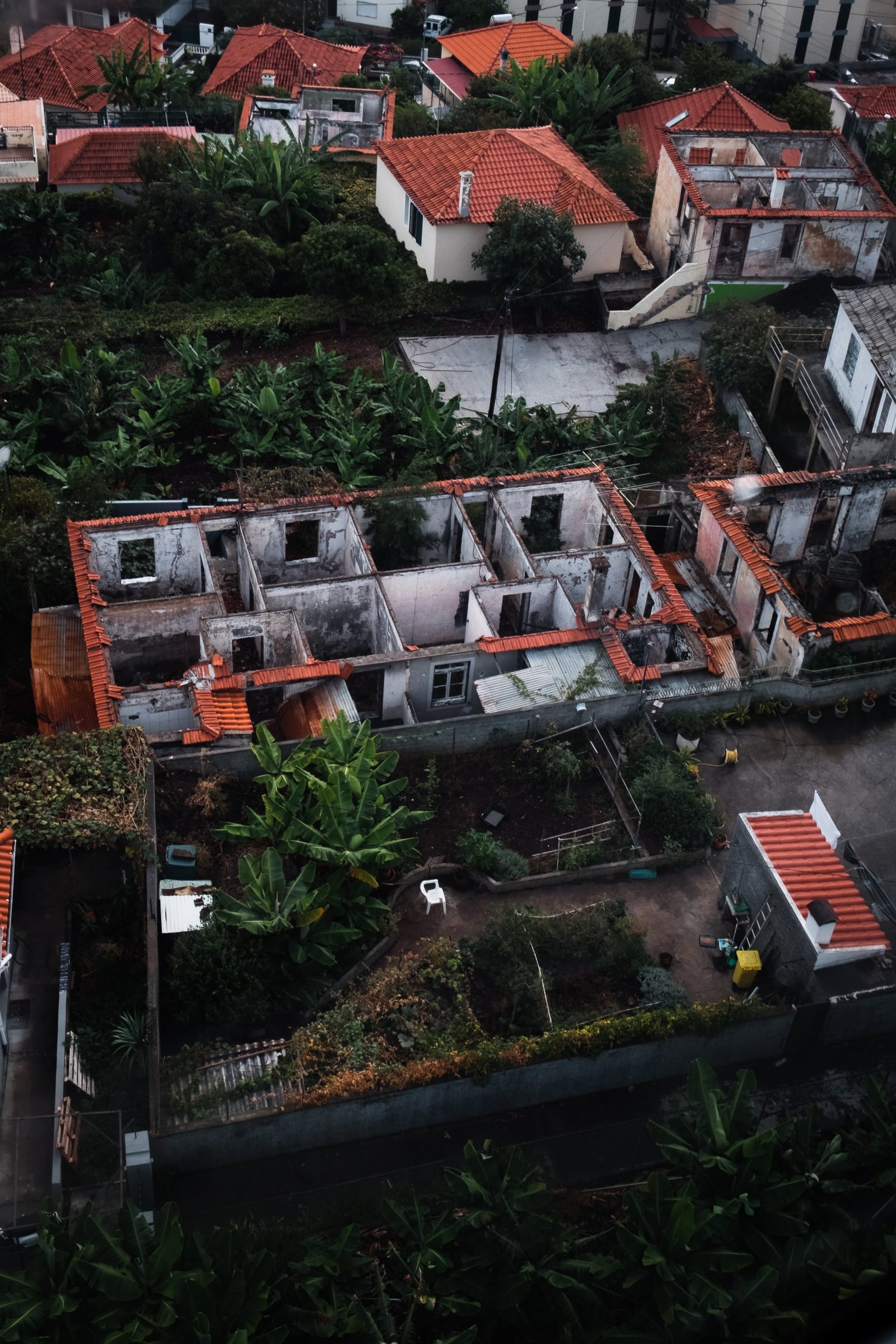 sophiagiesecke_alice_madeira-25 | i Heart Alice / iHeartAlice.com