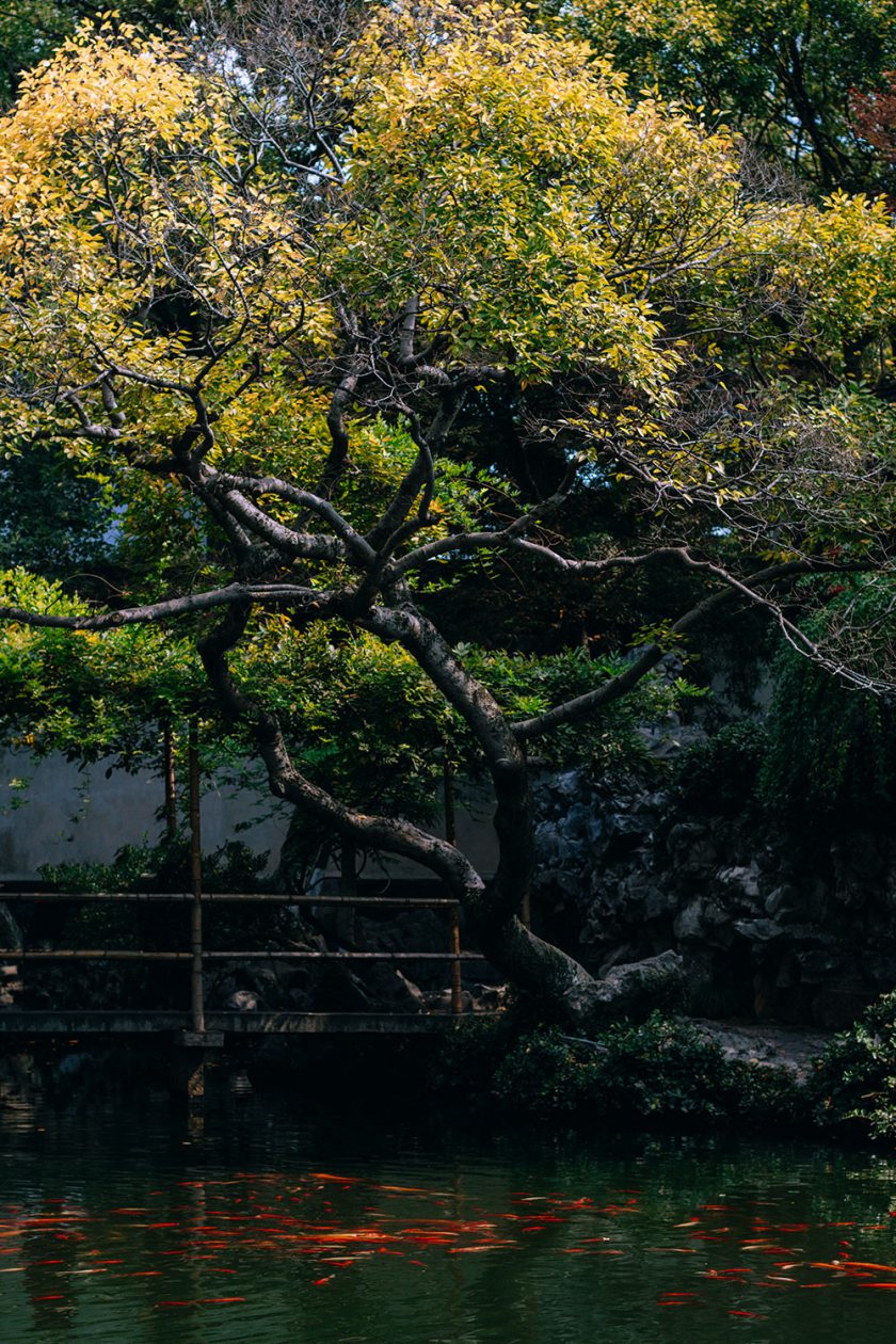 On The Streets Of… Tongli 同里镇 | i Heart Alice / iHeartAlice.com