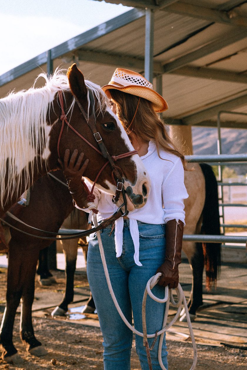 Sunset Horseback Riding in Lajitas, Texas – Big Bend Ranch State Park ...