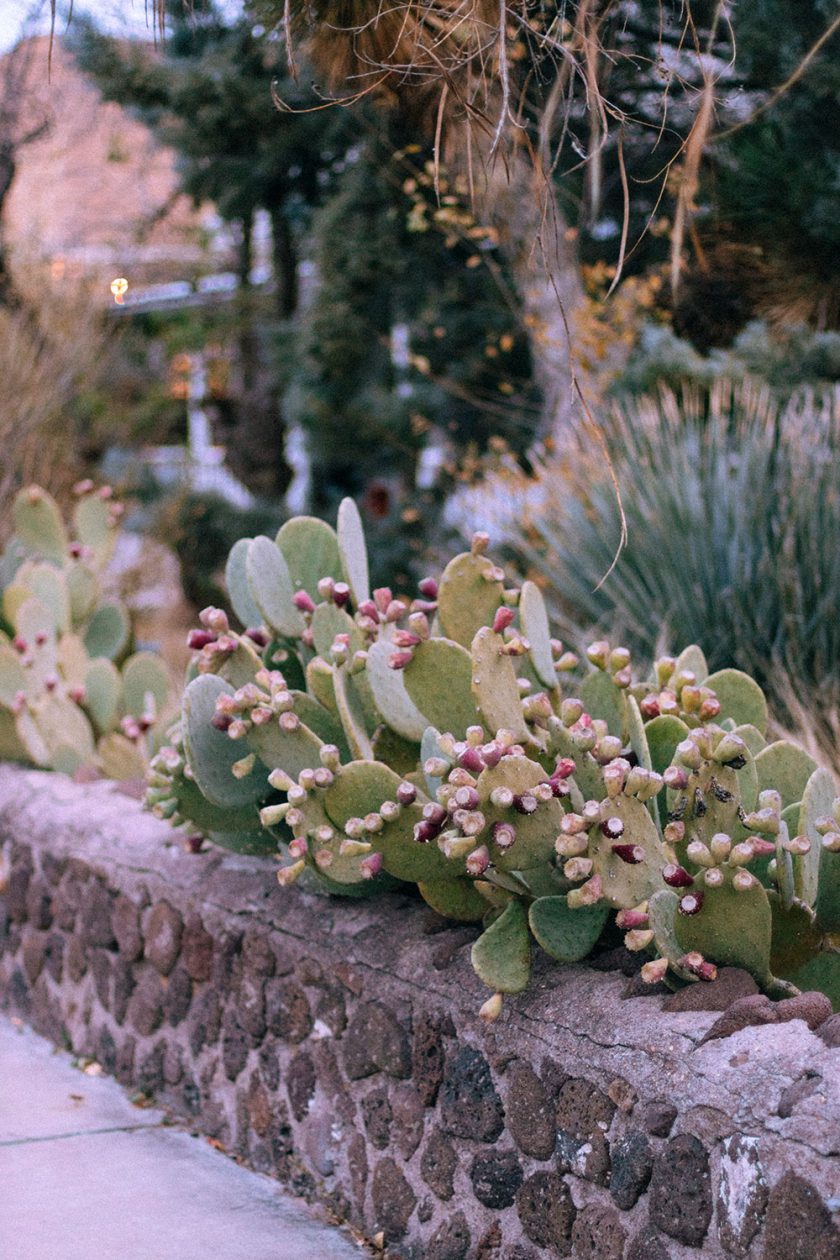 A Quick Travel Guide to Marfa, Texas – 7 Things To Do & See | i Heart ...