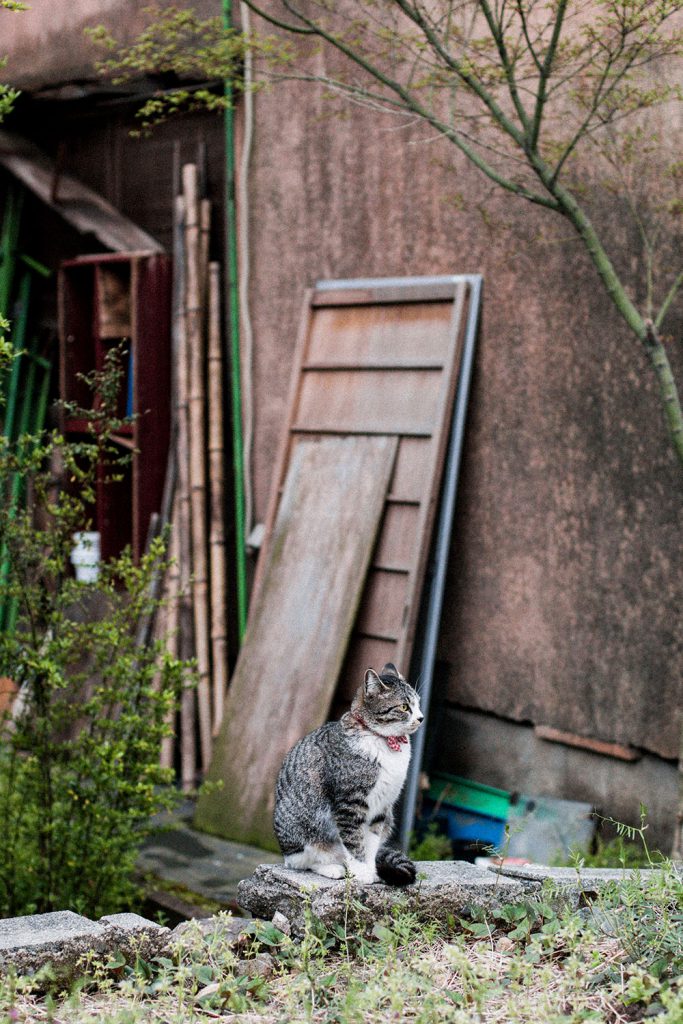 A Quick Travel & Food Guide To Beppu 別府 | i Heart Alice / iHeartAlice.com