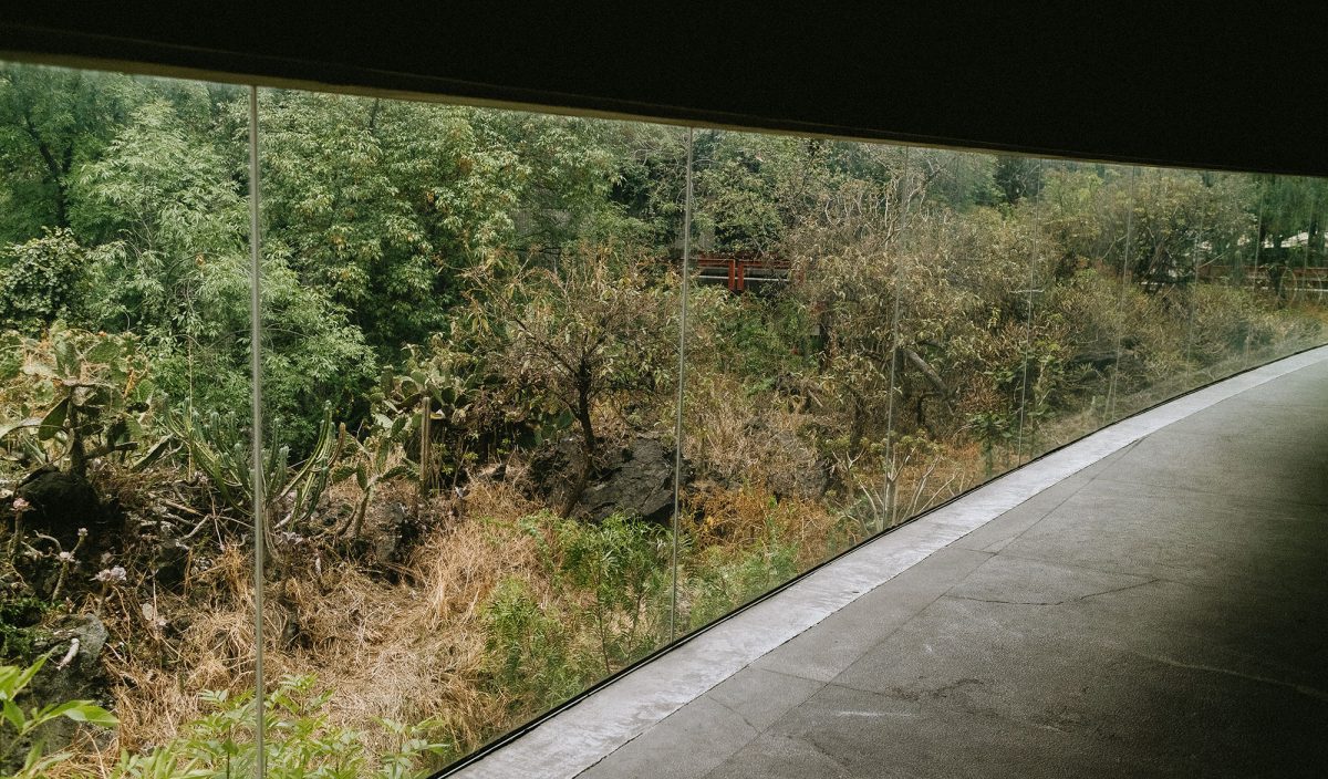 Inside MUAC – Museo Universitario Arte Contemporáneo, CDMX