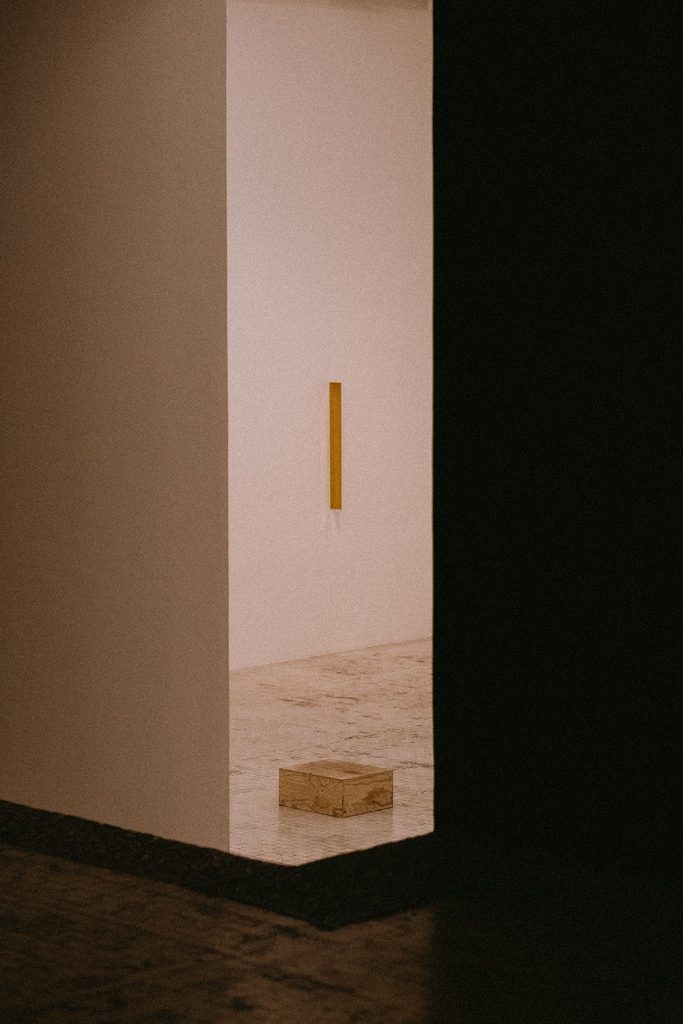 Inside Museo Tamayo in CDMX | Art & Culture in Mexico-City